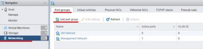 Tutorial - Vmware ESXi VLAN Trunk Configuration | Step by Step