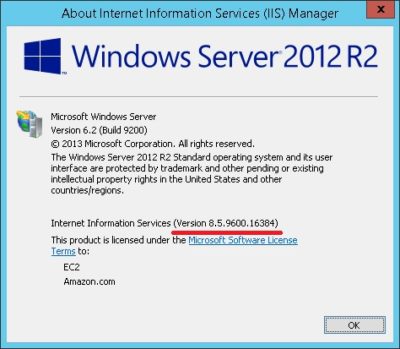 Tutorial - Verificar a versão do IIS instalada no Windows [ Passo a passo ]